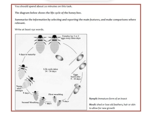 You should spend about 20 minutes on this task. The diagram below shows ...