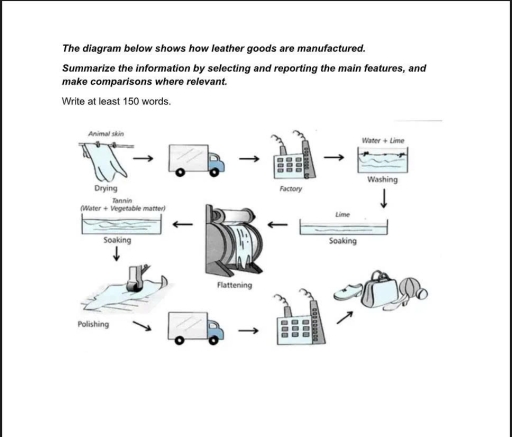 Band 9: The diagram below shows how leather goods are manufactured ...