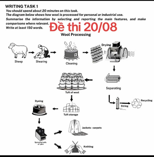 Band 7: The diagram below shows how wool is processed for personal or ...