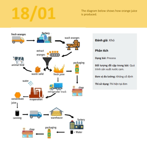 Band 5: The diagram below shows how orange juice is produced. Summarise ...