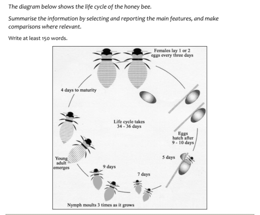 Band 9: The diagram below shows the life cycle of the honey bee ...