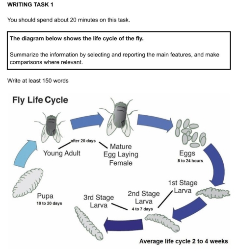 Band 7: Can you please assess my essay with IELTS Writing Assessment ...