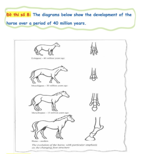 Band 4: the diagram below shows the development of the hourse over the ...