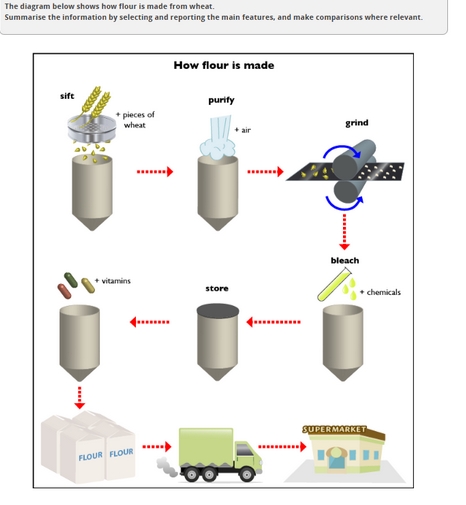 The diagram below shows how flour is made from wheat. Summarise the ...