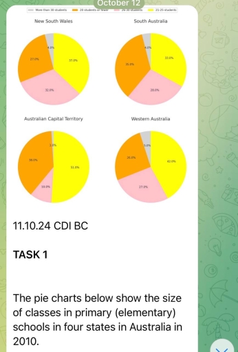 Band 6: The pie charts below show the size of classes in primary ...
