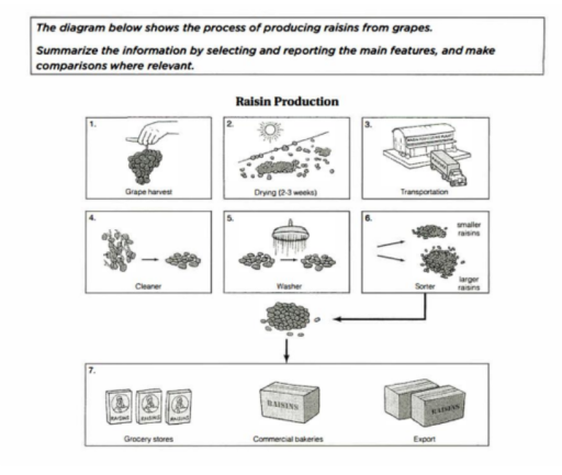 Band 6: The diagram below shows the process of procuding rasins from grapes. Summarize the ...