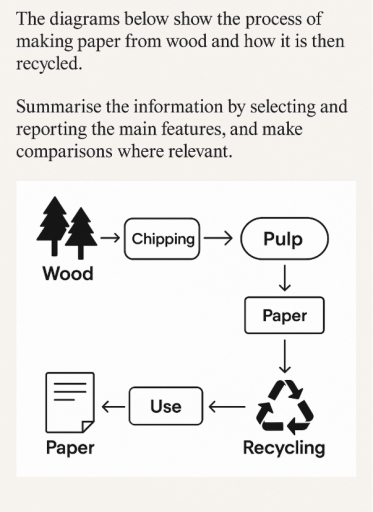 Band 6: The diagrams below show the process of making paper from wood and how it is then ...