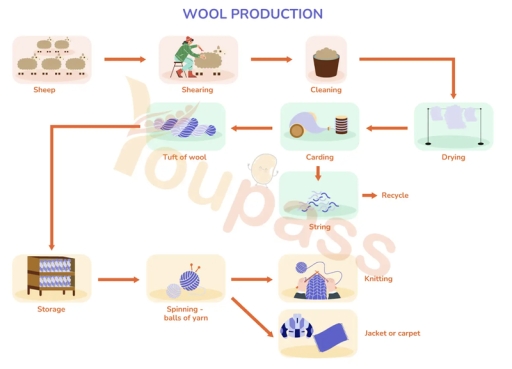 Band 6: The picture shows the process of making wool. Summarise the ...