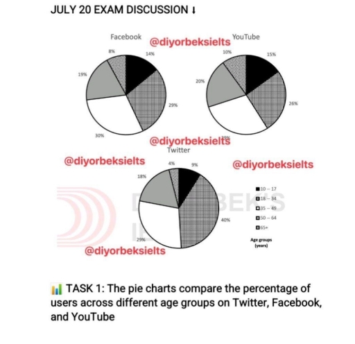Band 5: The pie charts compare the percentage of users across different ...