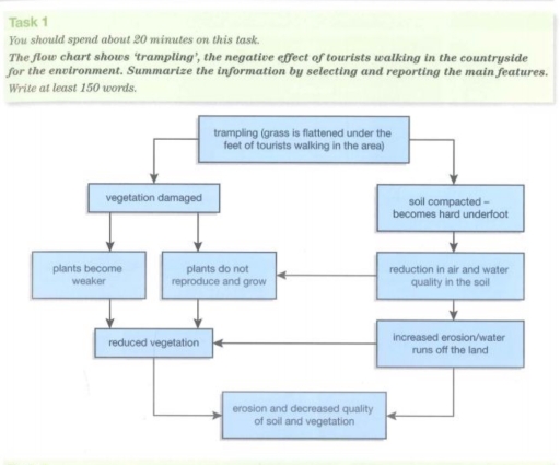 Band 6: The flow chart shows 'trampling', the negative effect of ...
