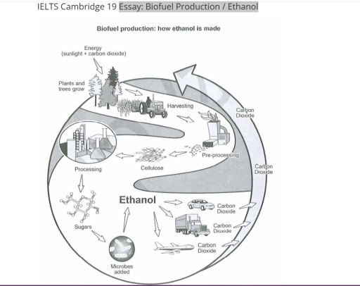 Band 6: Essay: Biofuel Production / Ethanol : how ethanol is made (User-Written IELTS Writing ...