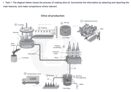 Band 6: The diagram below shows the process of making olive oil ...
