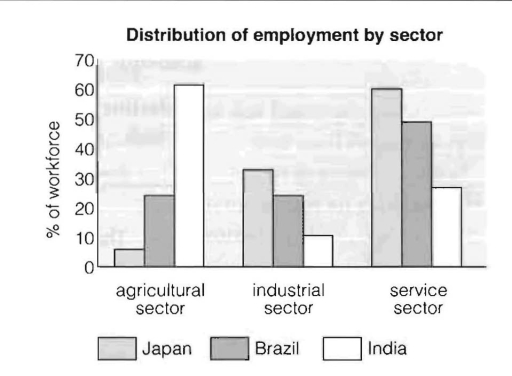 Band 6: The bar chart gives information about the percentage of workers ...