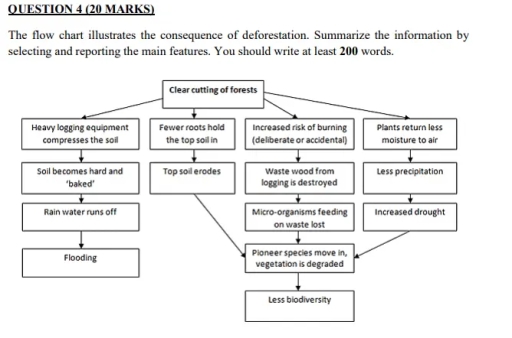 Band 6: The flow chart illustrates the consequence of deforestation ...