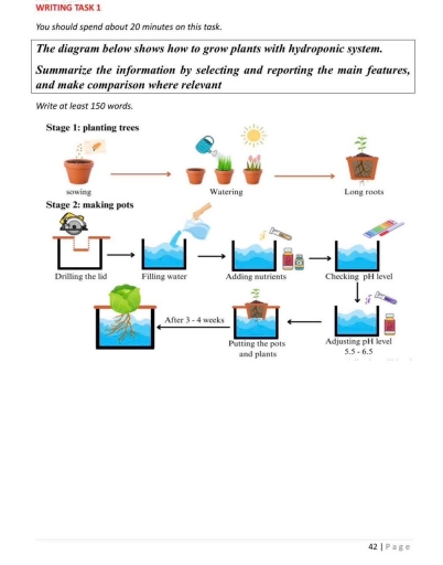 The diagram below shows how to grow plants with hydroponic system ...