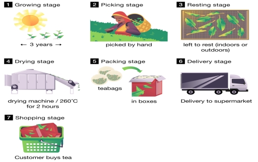 Band 7: You should spend about 20 minutes on this task. The diagram ...