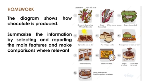 the diagrams shows how chocolate is produced. Summarize the information ...