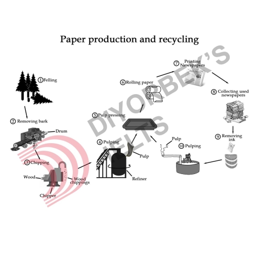 The map details the procedures by which paper is made and recycled ...