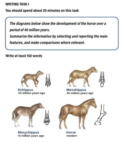 The diagrams below show the development of the horse over a period of ...