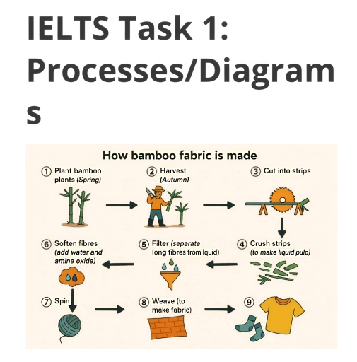 Band 7: The diagram shows the information about the process of bamboo ...
