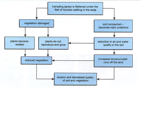 Band 5: The flow chart shows 'trampling', the negative effect of ...