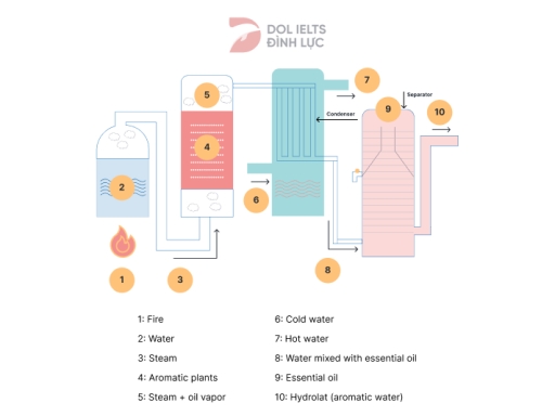 Band 5: The diagram below shows how oil is extracted in the production ...