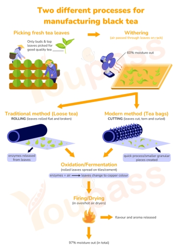 Band 6: The diagram below shows two different processes for ...