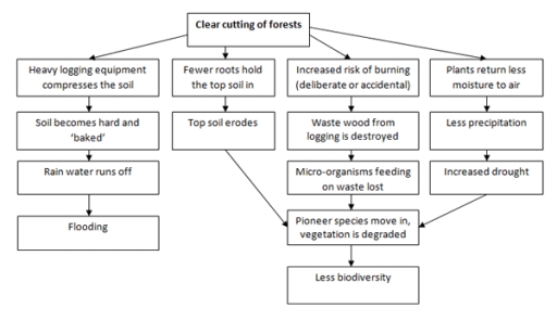 Band 7: The flow chart illustrates the consequence of deforestation ...