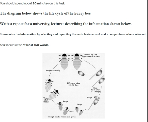 Band 7: The diagram below shows the life cycle of the honey bee. Write ...