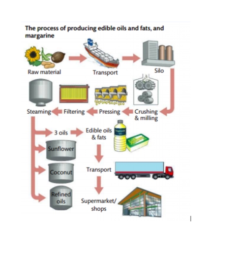 Band 7: The process of producing edible oils and fats, and margarine ...