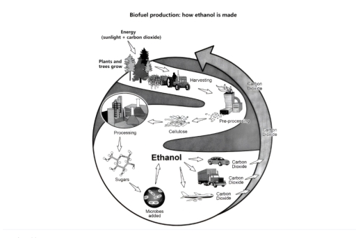 Band 6: You should spend about 20 minutes on this task. The diagram ...