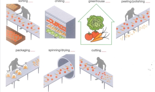 Band 9: The diagram shows the process how vegetables are prepared and ...