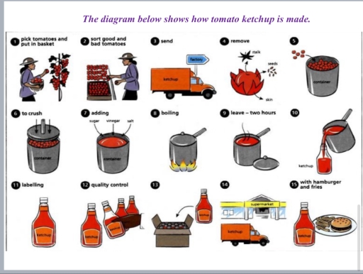 Band 6: The diagram below shows how tomato ketchup is made. Summarise ...