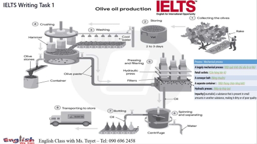 The diagram below shows the process for producing olive oil. Provide an ...
