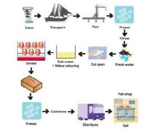the diagramm shows the process of how to make smoked fish summerize the ...