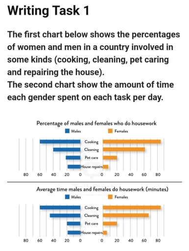 The first chart below shows the percentages of women and men in a ...