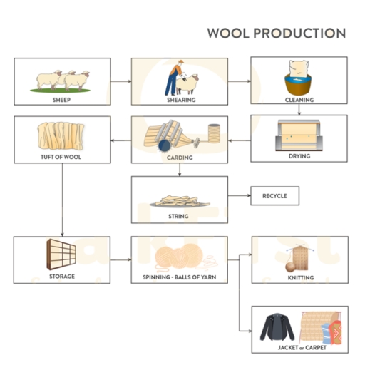 Wool Production Flow Chart Wool: A Comprehensive Guide On Processing