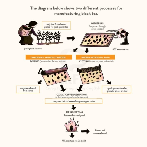 The diagram below shows two different processes for manufacturing black ...