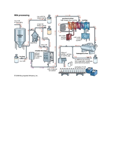 Band 6: The diagram below shows the process of milk production ...