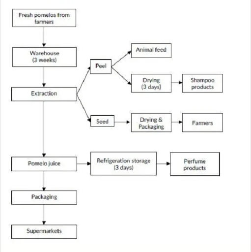 Band 7: the diagram below illustrates how to produce several products ...