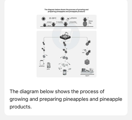 Band 6: the diagram below shows the process of growing and preparing ...