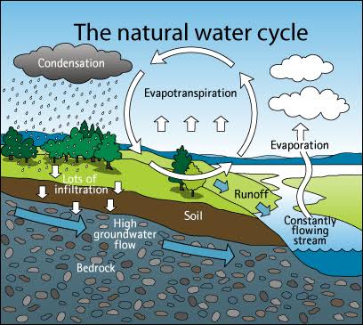 Band 5: The diagram details the way in which water moves in a natural ...