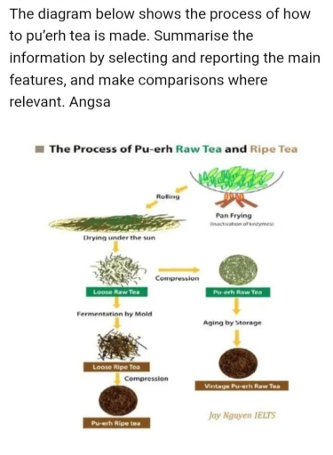 The diagram below shows the process of how to pu'erh tea is made. (User ...