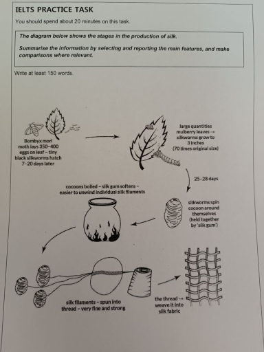 Band 7: The diagram below shows the stages of silk. Summarize the ...