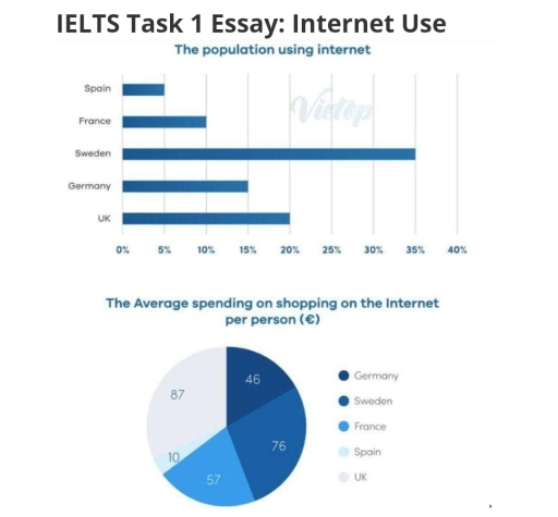 Band 7: The charts show the information about the use of Internet in ...