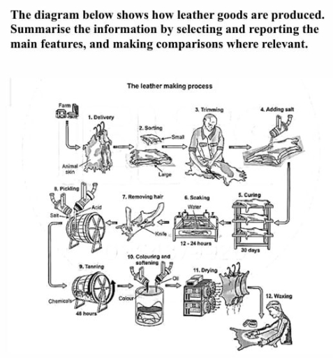 Band 6: The diagram below shows how leather goods are prodiced ...