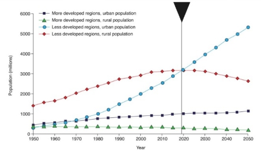 The line graph below shows the changes in the number of urban and rural ...