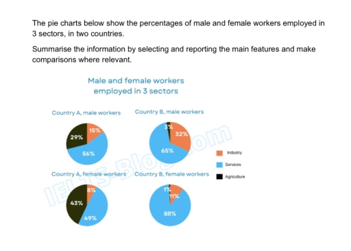 Band 5: The pie charts below shows the percentages of male and female ...