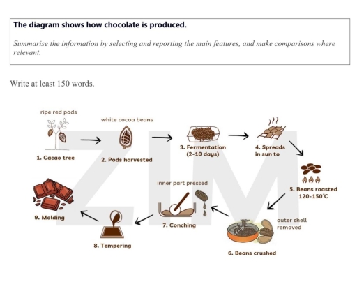 Band 7: The diagram shows how chocolate is produced. Summarise the ...
