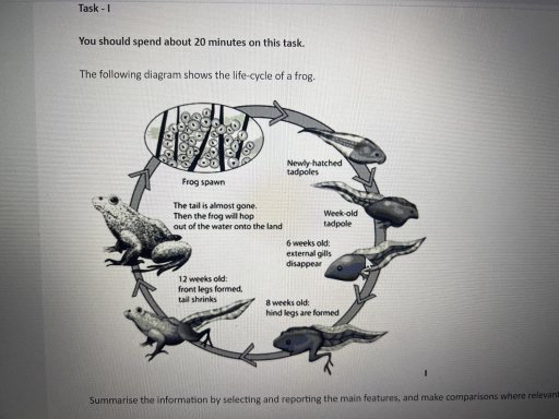 Band 5: The following diagram shows the life-cycle of a frog.Summarise ...